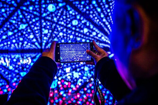 Vivid Sydney Walking Tour Lights, Stories and Secret Spots - Key Points