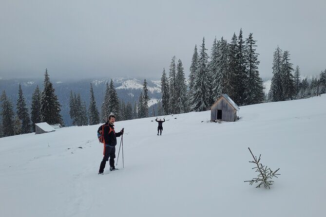 Vladeasa Peak and Bride's Waterfall Day Hike - Who Will Love This Tour?