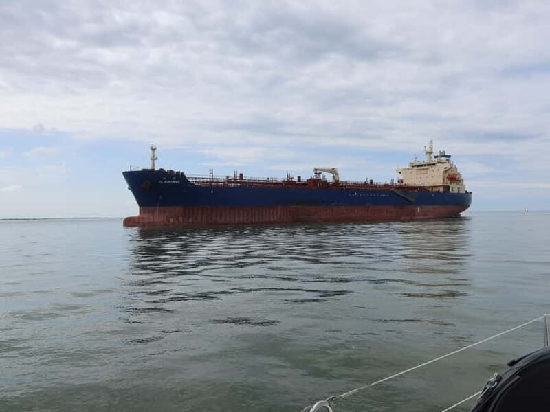 Vlissingen: Westerschelde Sailing Trip with Skipper - 3 hrs - Why You Should Consider It