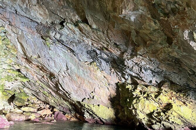 Vlore| Full Day Guided Tour to Grama Bay and Marine Park - Final Thoughts: Is This Tour Right for You?