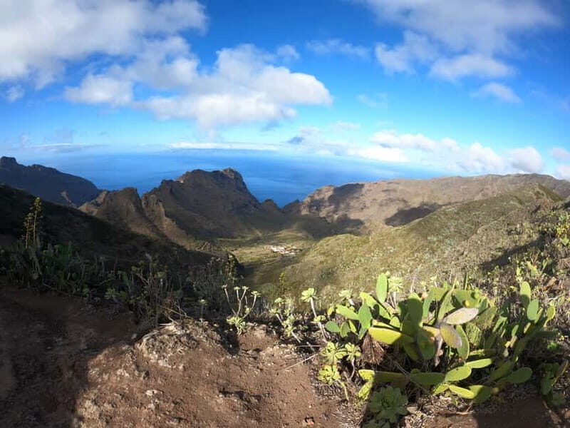 Volcanes, Viñedos y Laurisilva  Santiago del Teide - An Inside Look at the Itinerary