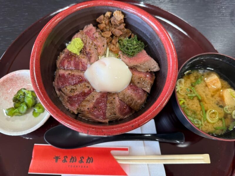 Volcanic Wonders: Private and helicopter Tour to Mount Aso - Who Should Consider This Tour?