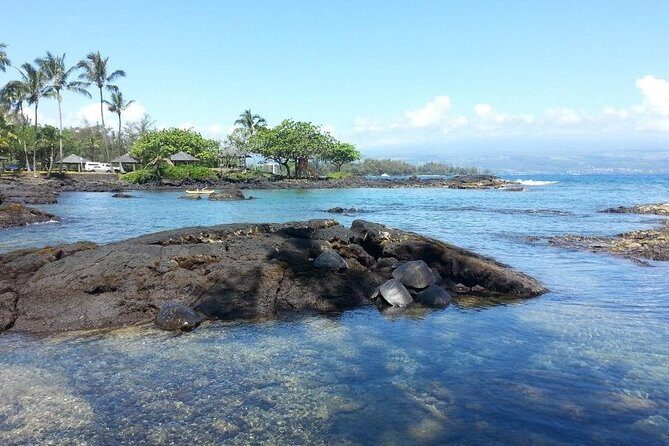 Volcano Adventure Tour & Waterfall - Shore Excursion from Hilo Harbor - FAQ