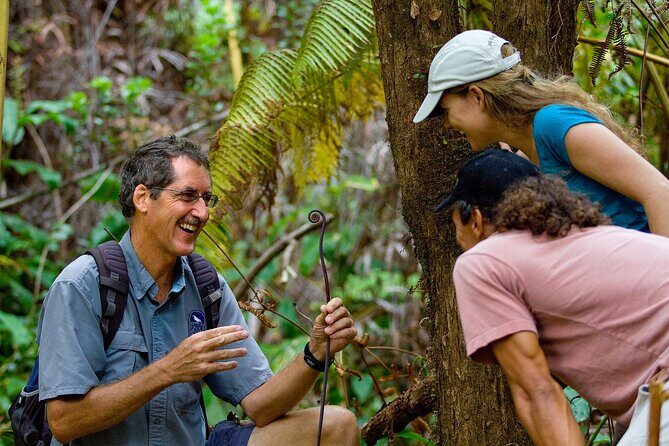 Volcano, Chocolate and Waterfalls of the Big Island - Practical Details and Value