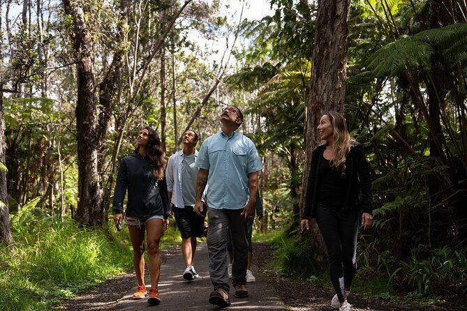 Volcano Explorer Tour - Stop 2: Hawaii Volcanoes National Park