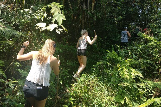 volcano hike and jungle trekking adventure - FAQ