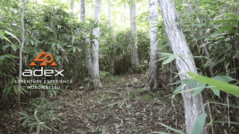 Volcano Hike with Pacific and Kuttara Lake Views - Exploring the Volcanic Beauty of Kuttara and Beyond