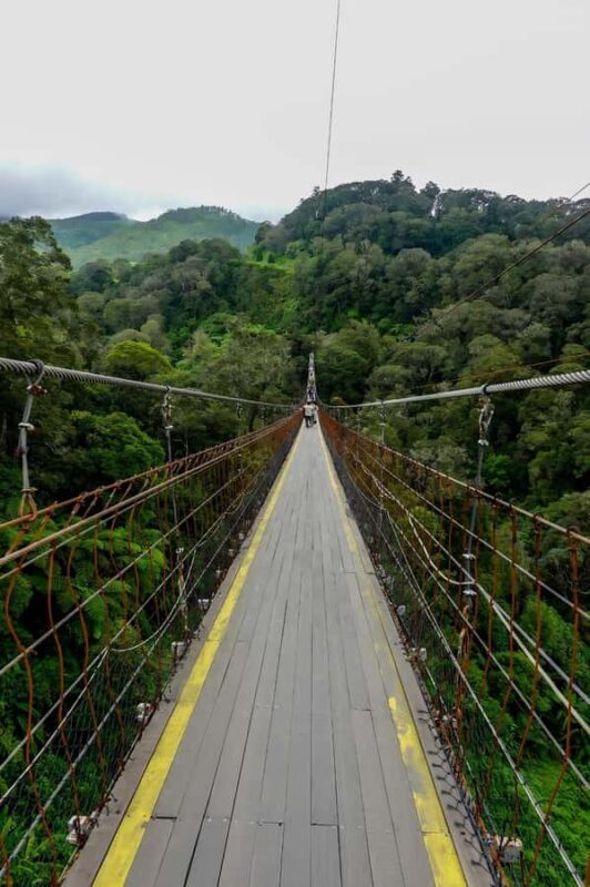 Volcano, Hot Spring, Mud Bath & Tea plantation all included - Key Points
