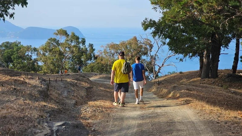 Volcano Island: Trekking among Volcanic Caves and Landscapes - Key Points