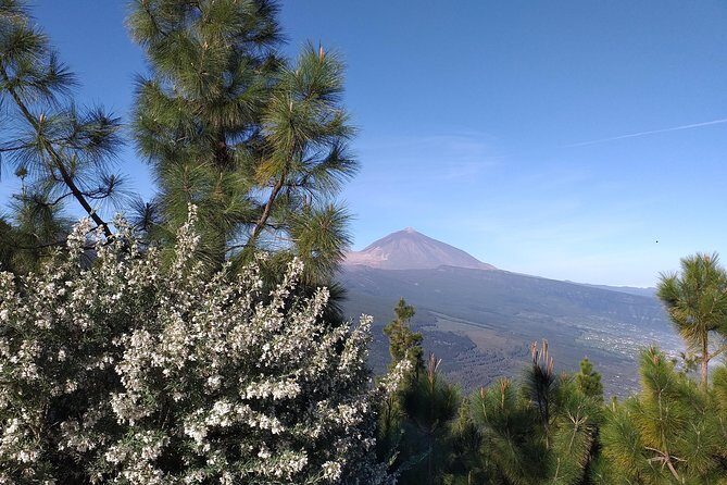 Volcano Teide National Park And North Of The Island VIP TOUR - Who Will Love This Tour?