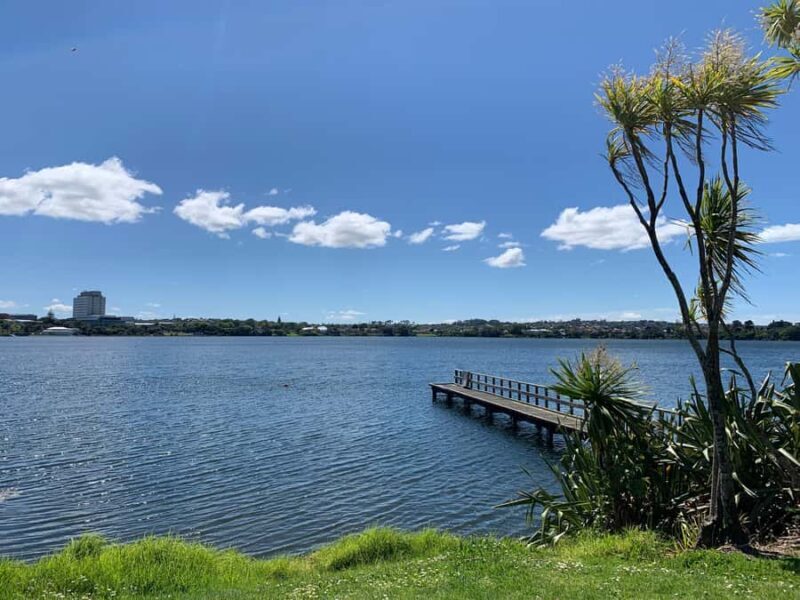 Volcanoes, Coast & Secret Spots Afternoon Tour from Auckland - An In-Depth Look at the Tour Experience