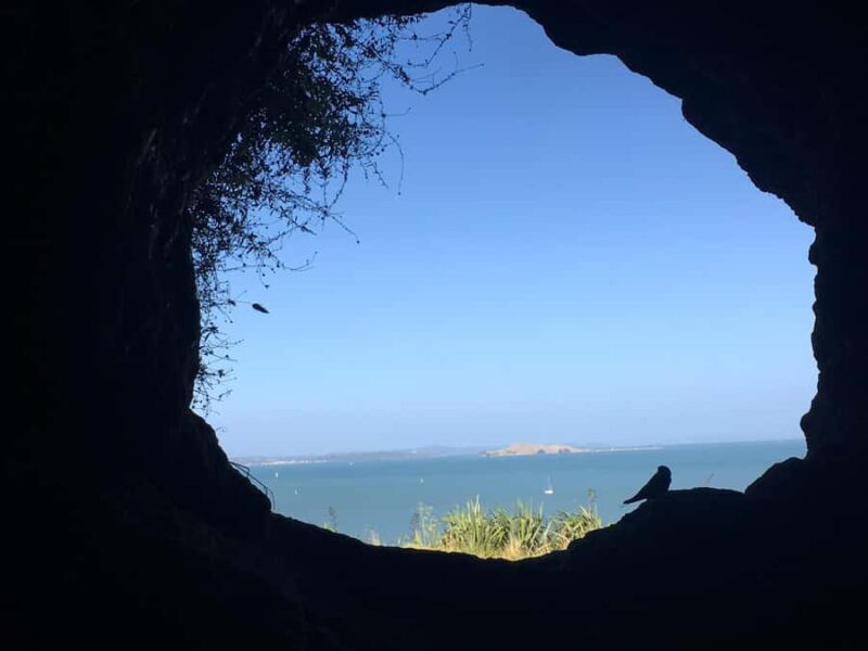 Volcanoes, Coast & Secret Spots Afternoon Tour from Auckland - Frequently Asked Questions