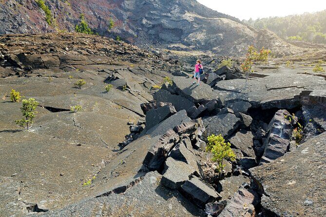 Volcanoes National Park: Guided, Small-Group Hike - The Sum Up