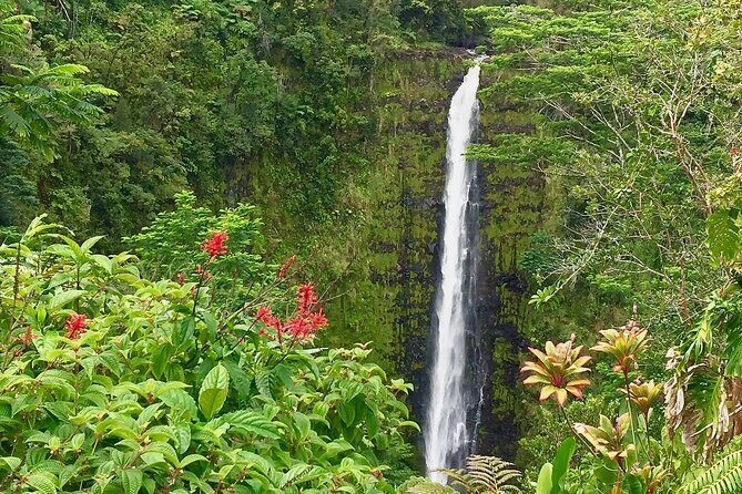 Volcanoes&Stargazing Exclusive Private Van Charter - Lava Glow Viewing: The Main Event