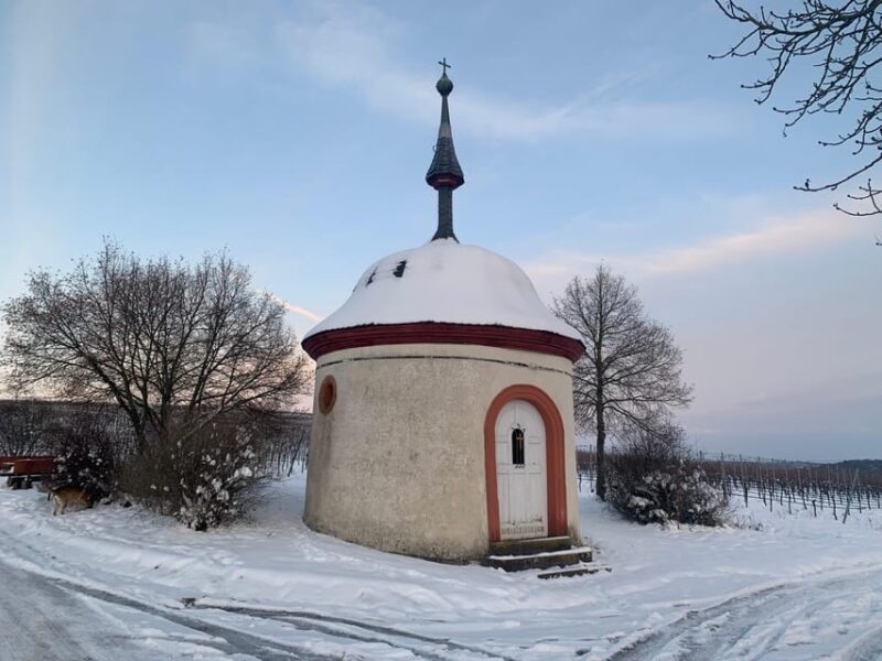 Volkach/Fahr: Wine Spirit Rebellion wine hike - An In-Depth Look at the Experience