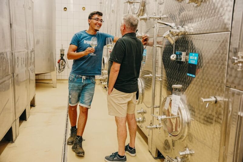 Volkach/Fahr: Wine Spirit Rebellion wine hike - Final Thoughts: Who Will Love This Experience?
