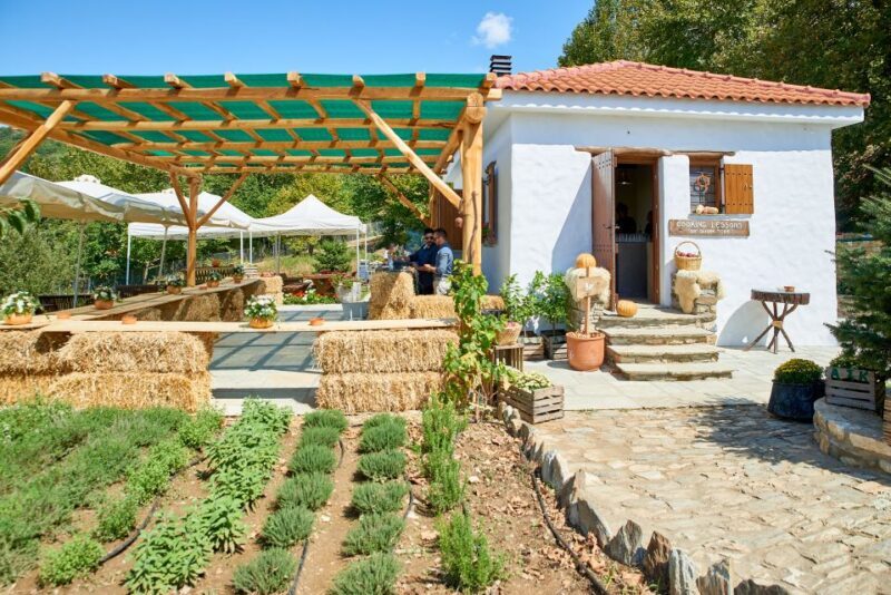 Volos: Cook Like a Local at a Greek Farm - An In-Depth Look at the Farm-to-Table Experience