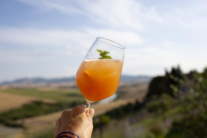 Volterra: Cocktail Mixing Experience with finger food - Key Points