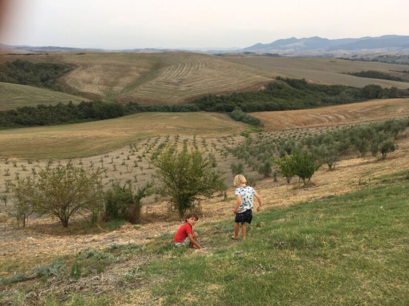 Volterra: Family-Friendly Herbal Laboratory Workshop - Key Points