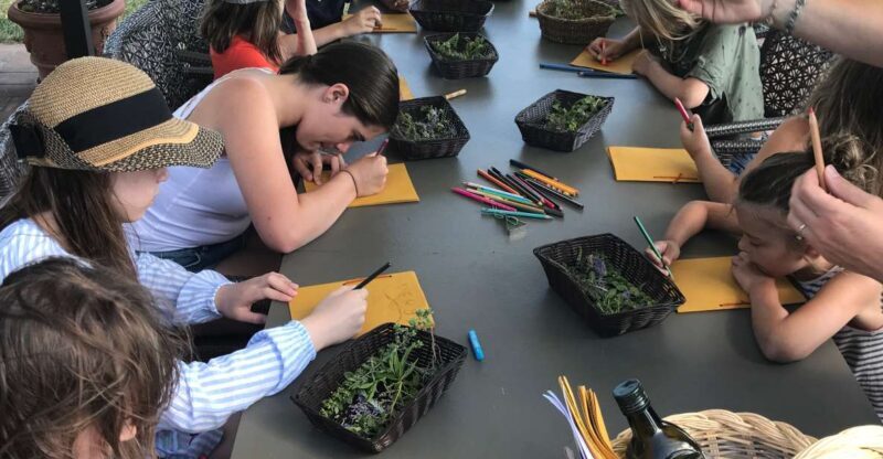 Volterra: Family-Friendly Herbal Laboratory Workshop - Introduction