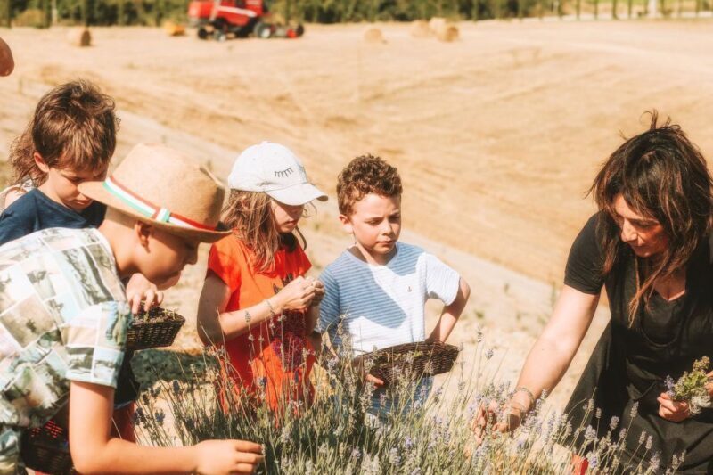 Volterra: Family-Friendly Herbal Laboratory Workshop - Who Will Love This Experience?