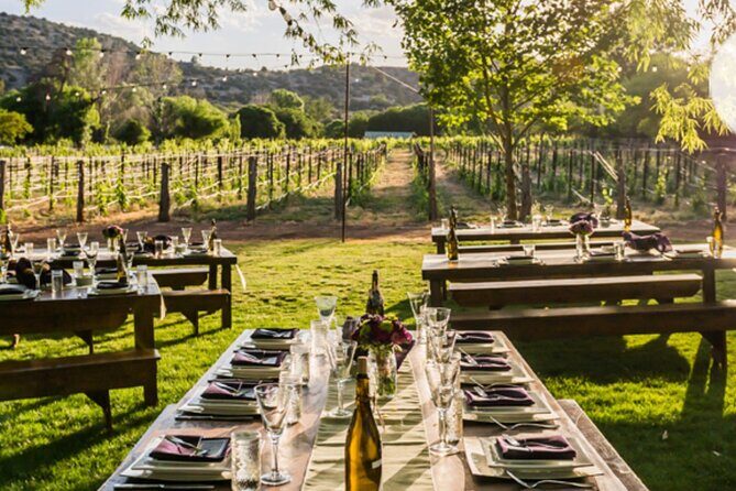 Vortex to Vineyards by ABC wildlife host Rachel Reenstra - What to Expect and the Experience
