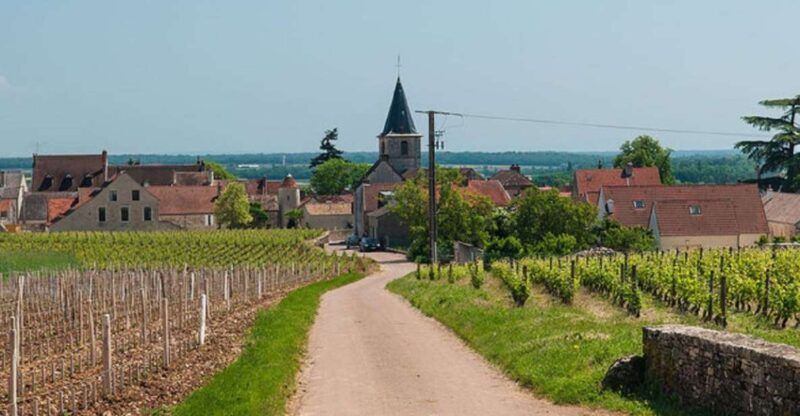Vosne-Romanée: Private Vineyards Walking Tour with Tasting - Exploring Vosne-Romanée: A Private Vineyard Walk with Tasting – In-Depth Review