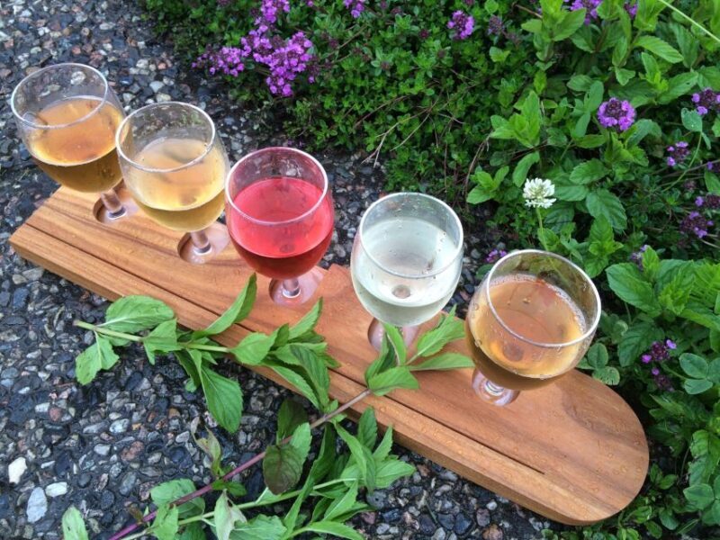 Voss: Guided Fjord & Cidery Tour to Balestrand - Who Would Enjoy This Tour?