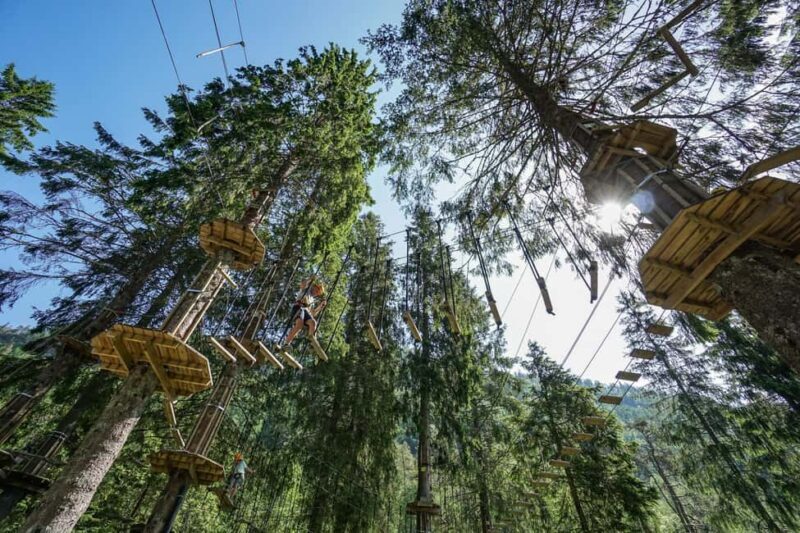 Voss High Rope Course: Mini & Micro Course - Authentic Reviews and Experiences