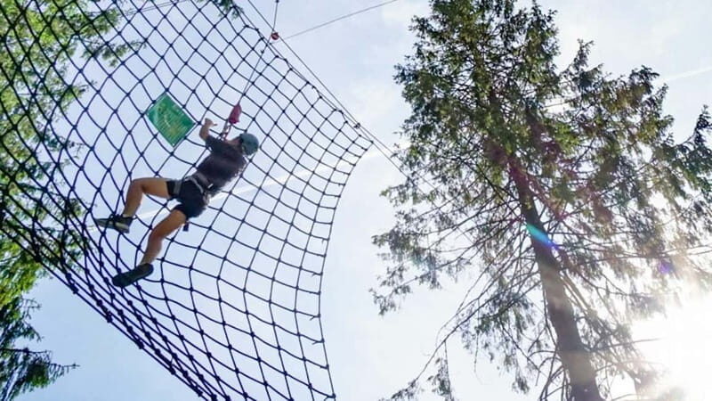 Voss High Rope & Zipline Park - What to Expect at Voss High Rope & Zipline Park