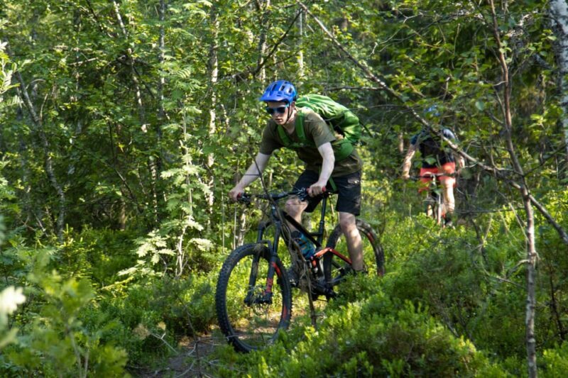 Voss - Mountain Bike  Bømoem Forest - Key Points