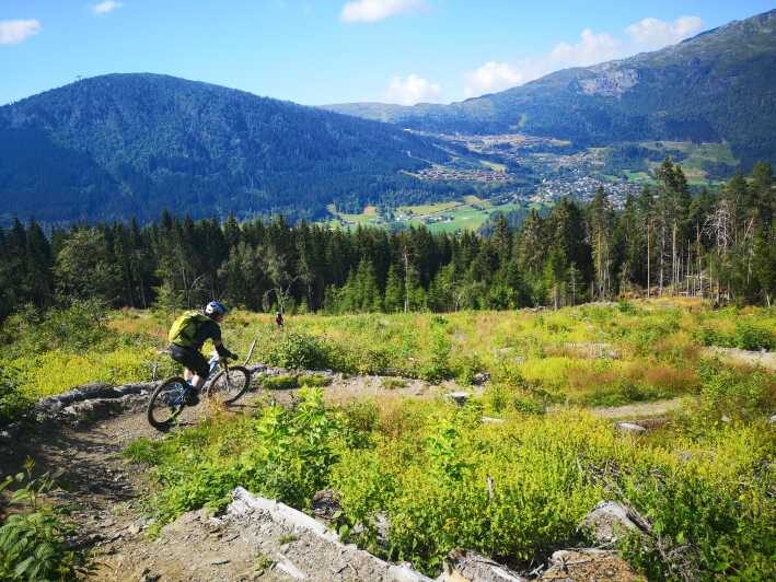 Voss - Mountain Bike  Bømoem Forest - The Value of This Tour