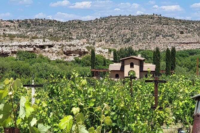 Voted Best in Sedona-Private Wine Tour of Vortex, Wine & Shopping - Practical Details and Tips