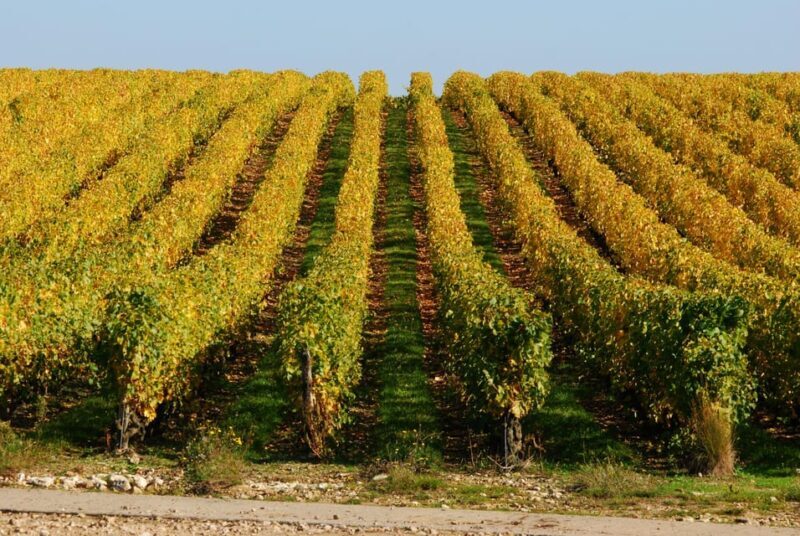 Vouvray wine half-day tour from Tours - Key Points