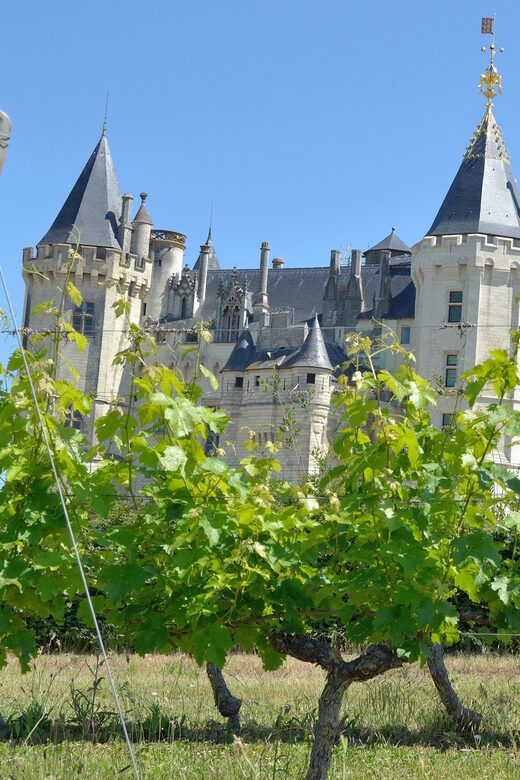 Vouvray wine half-day tour from Tours - Final Thoughts: Who Is This Tour For?