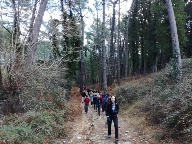 Vrmac Hiking Private Tour - Deep Dive: What’s Valuable About This Tour?