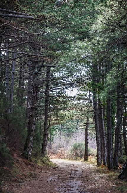 Vrmac Hiking Private Tour - Who Will Love This Tour?