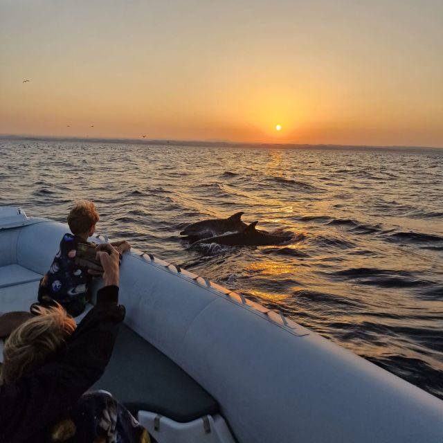 Vrsar: Dolphin Sunrise Adventure with Speedboat - FAQ