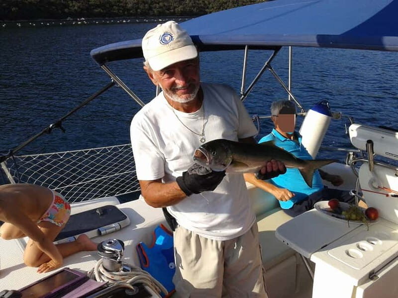 Vrsar: Dolphin Watching and Sightseeing Private Day Cruise - Key Points
