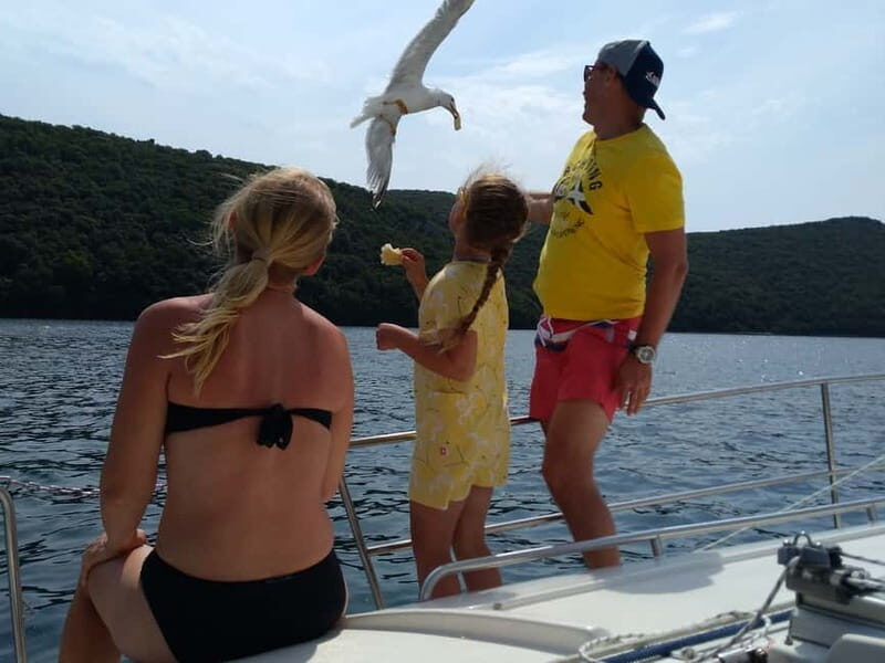 Vrsar: Dolphin Watching and Sightseeing Private Day Cruise - Who Will Love This Tour?