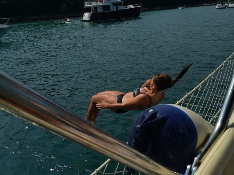 Vrsar: Dolphin Watching and Sightseeing Private Day Cruise - FAQ