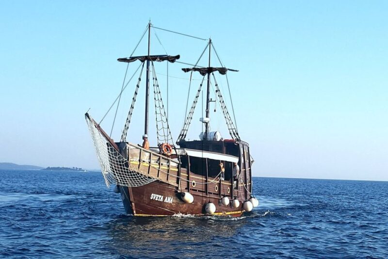 Vrsar: Dolphin Watching Boat Ride - An Introduction to the Experience