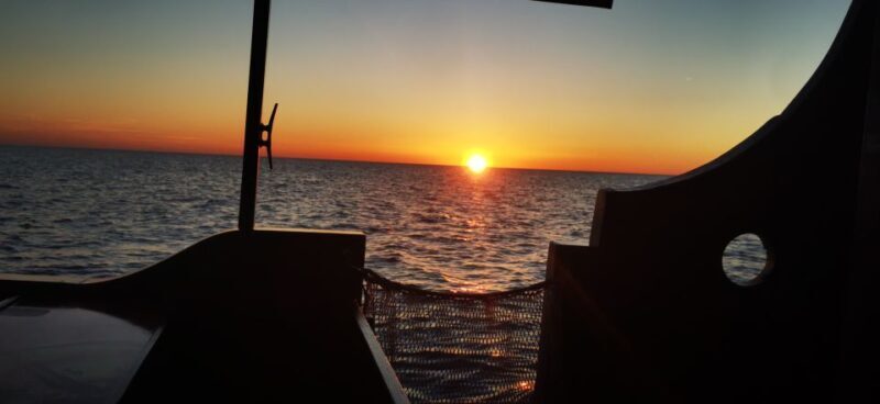 Vrsar: Dolphin Watching Boat Ride - FAQs