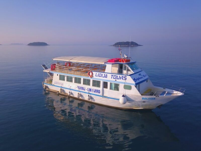 Vrsar: Dolphin Watching Boat Tour including Drinks - Key Points