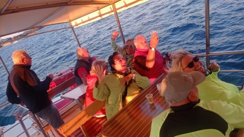 Vrsar: Dolphin Watching Boat Tour including Drinks - Who Is This Tour For?