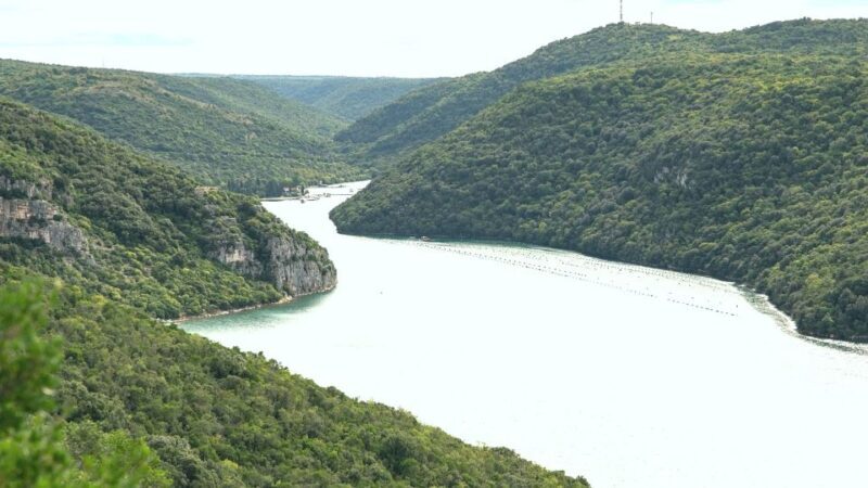 Vrsar: Lim Fjord Boat Tour with Swimming near Pirate's Cave - Is This Tour Worth It?
