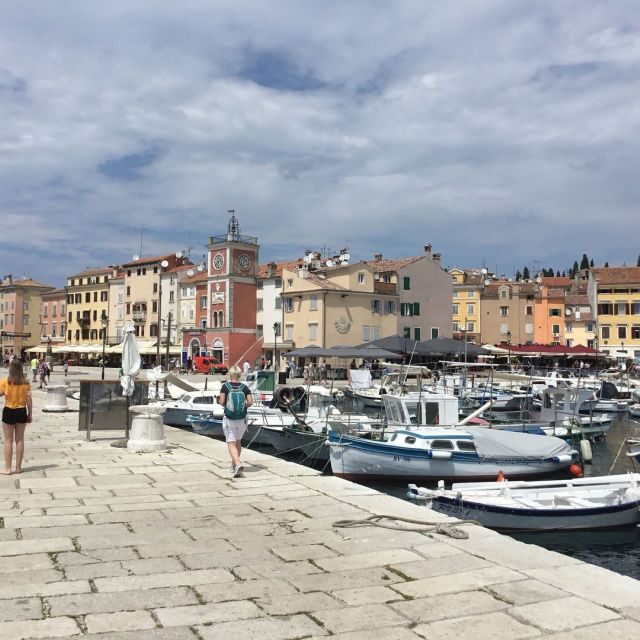 Vrsar: Lim Fjord - Rovinj Fish Picnic - In-Depth Look at the Tour Experience