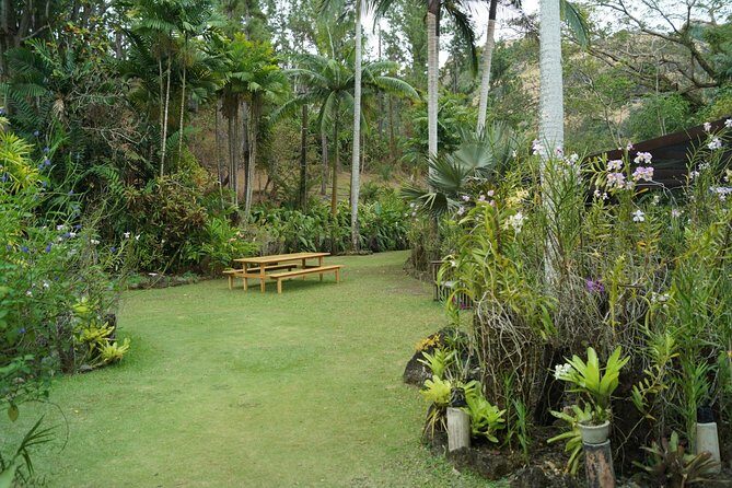 Vuda Lookout, Vesisei Village, Market, Temple & Garden of Sleeping Giant Tour - What to Expect: A Closer Look at the Itinerary