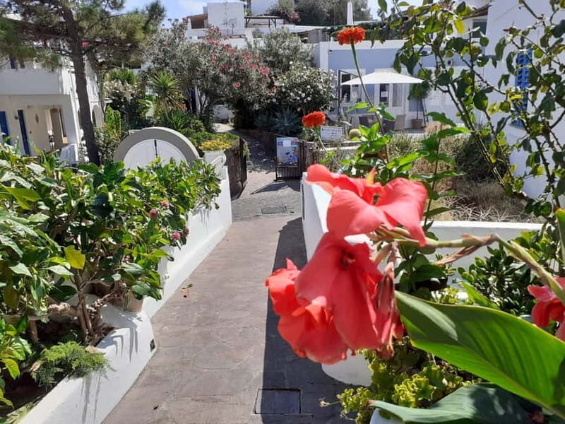 Vulcano, Panarea e Stromboli full day tour from Lipari - Analyzing the Value