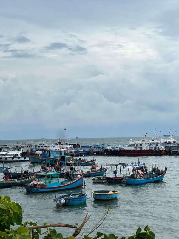 Vung Tau City Sightseeing Private Tour From Ho Chi Minh City - Food, Coffee, and Local Flavor